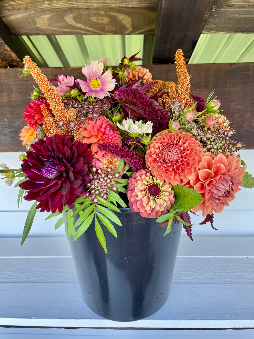 Graceful Acres Flower Farm