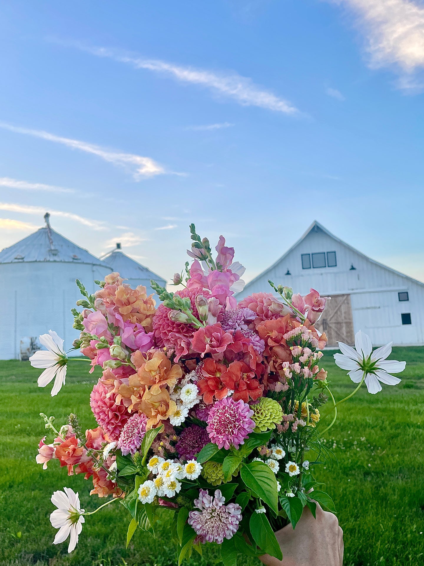 Graceful Acres Flower Farm